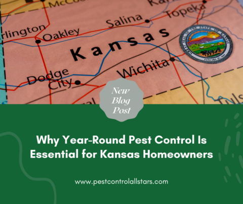 Why Year-Round Pest Control Is Essential for Kansas Homeowners | All ...